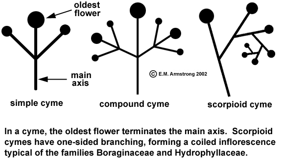 New Page 1 [jb004.k12.sd.us]